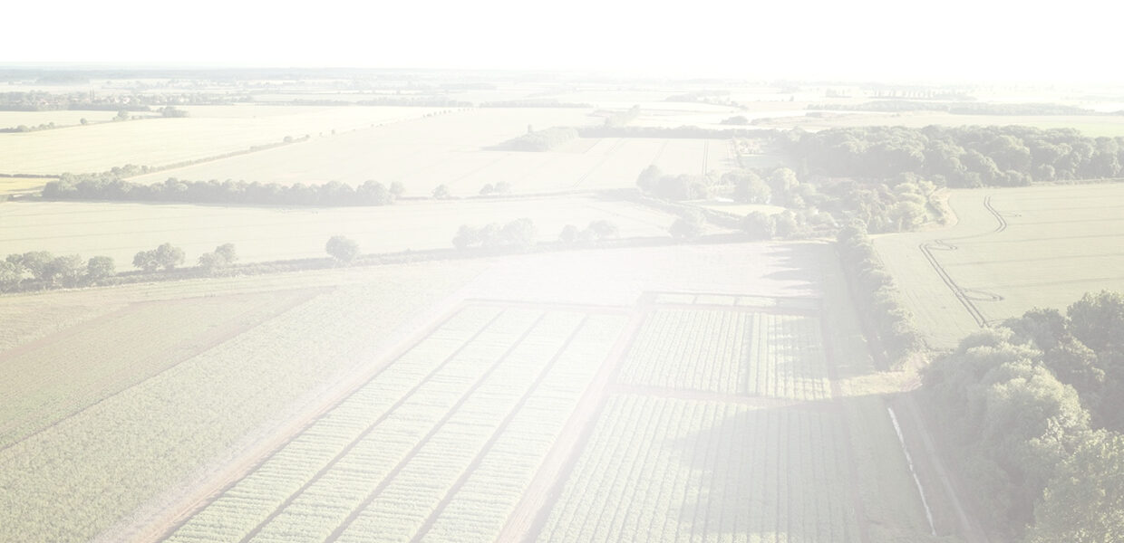 Why farming? – Dyson Farming