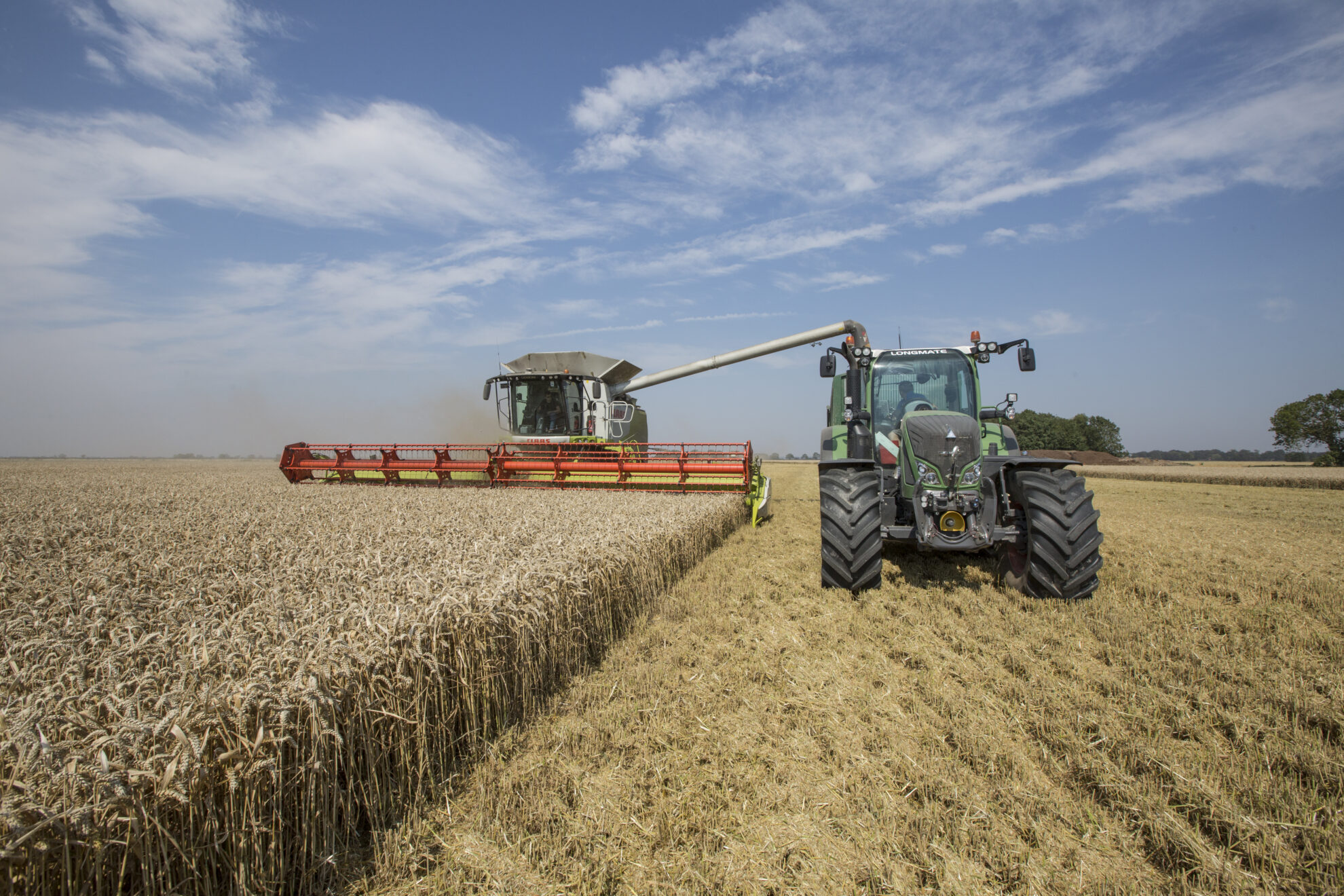 Food and farming – Dyson Farming