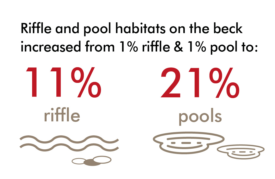 Dunston Beck project update – Dyson Farming