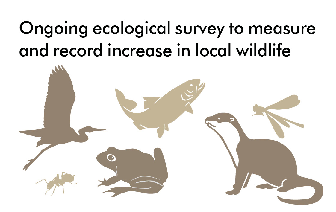 Dunston Beck project update – Dyson Farming