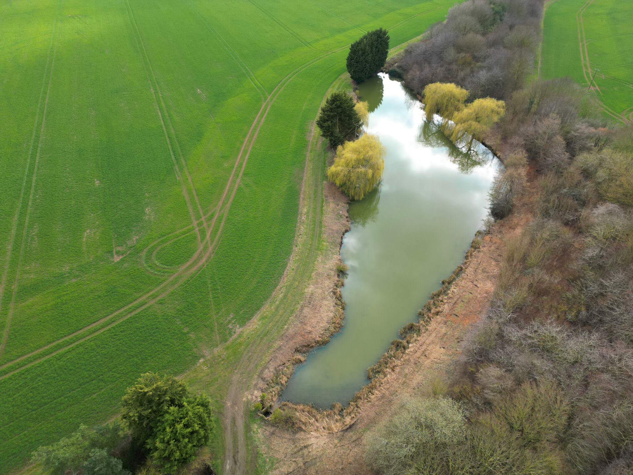 Dyson Farming Leisure: Fishing at Stubton Farm – Dyson Farming