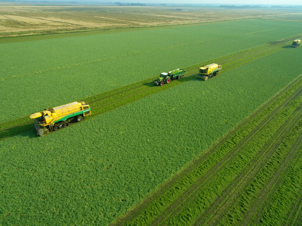 Dyson Farming Research leading the way in boosting sustainable pulse ...