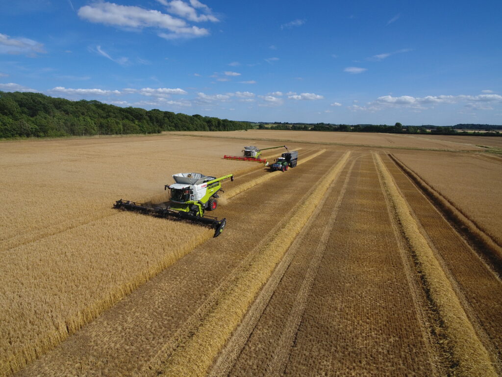 Why farming? – Dyson Farming