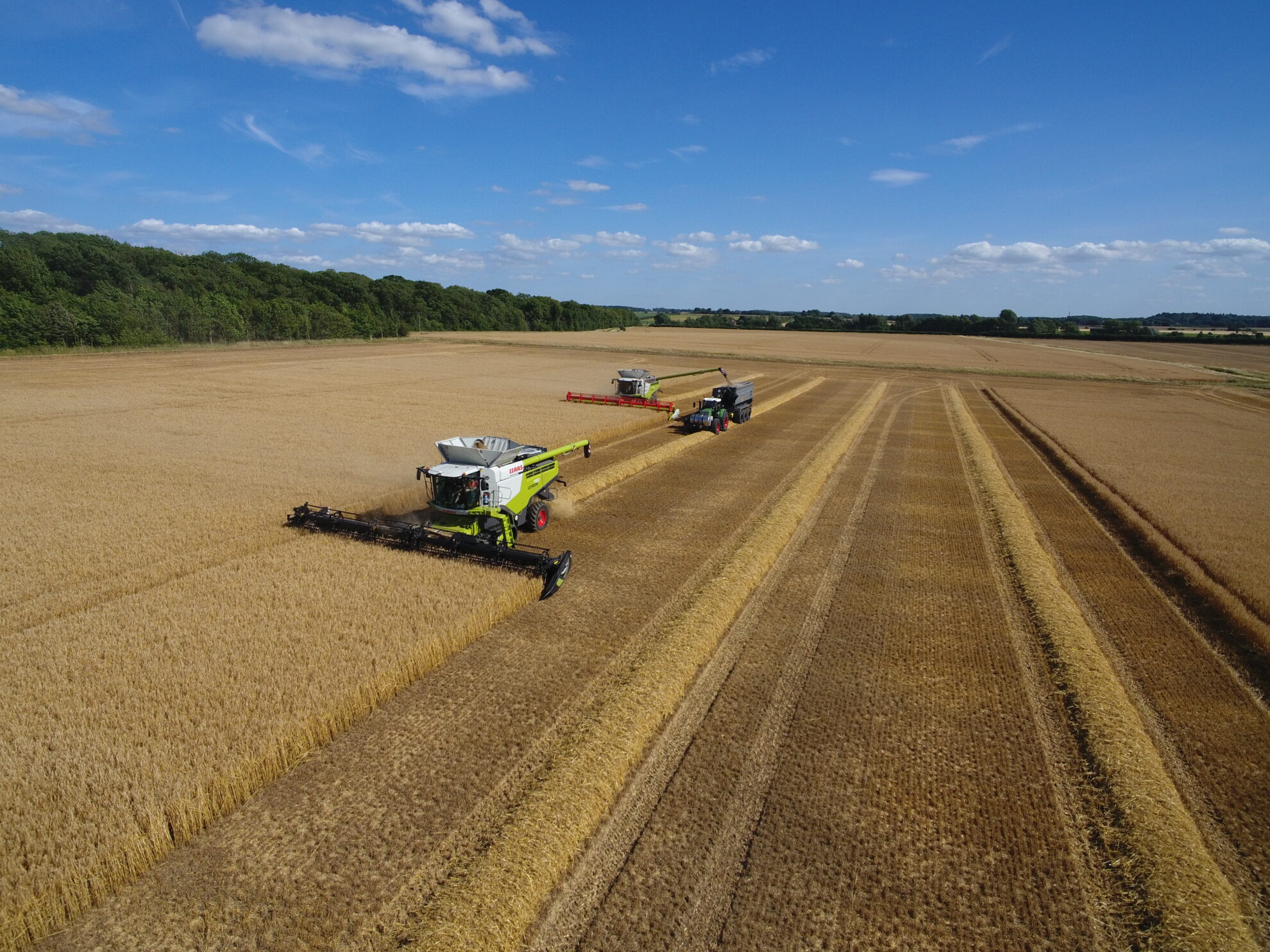 Why farming? – Dyson Farming